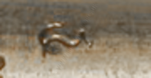 The Morris Aiming Tube - History, usages, designs and patents