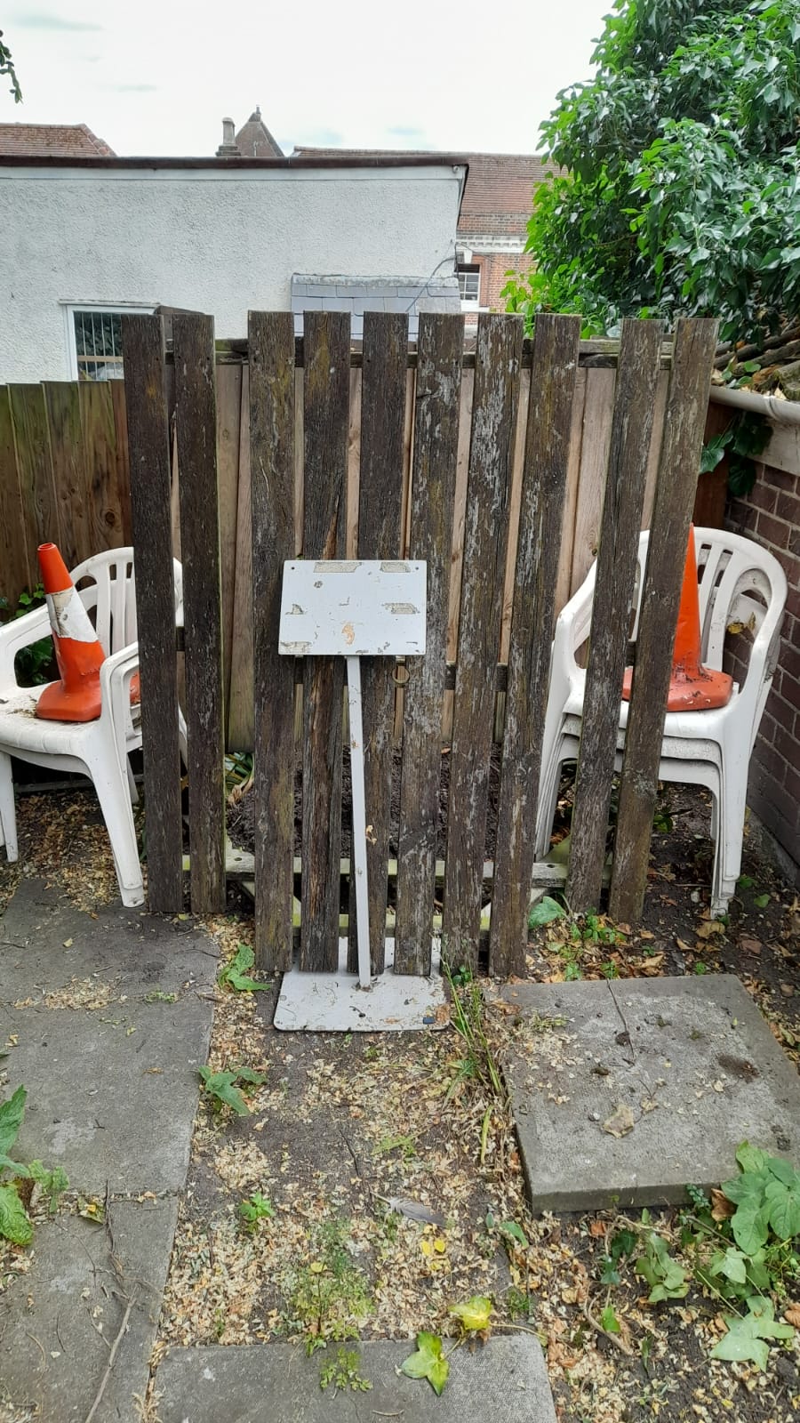 Fallen tree behind 41. Crouch Street